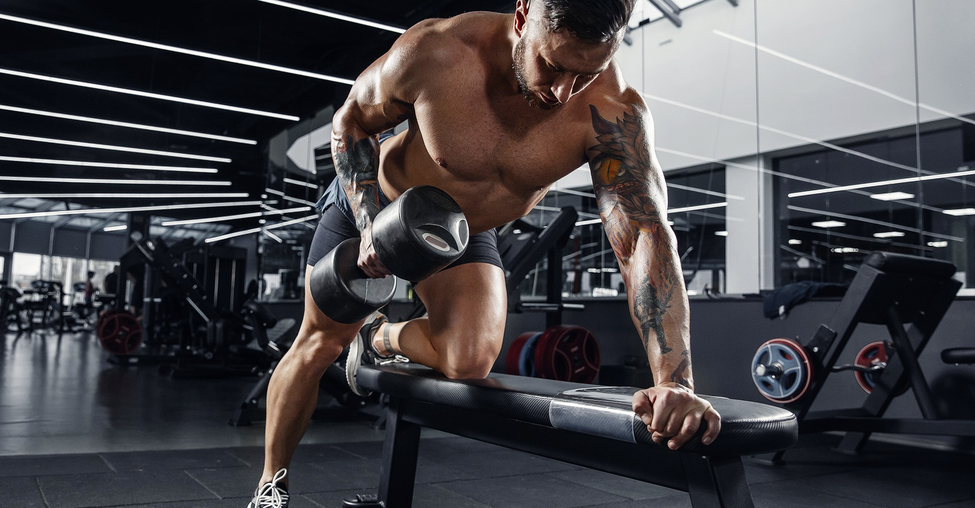 Top Bodybuilding Exercises to Sculpt a Stronger Physique - Studio Core